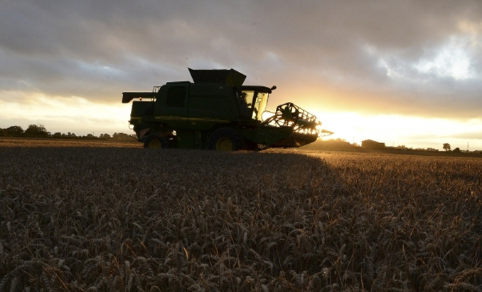 Необходимата професия в България - В медиите - Нов български университет